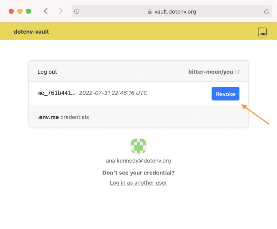 Dotenv Vault Logout Dotenv
