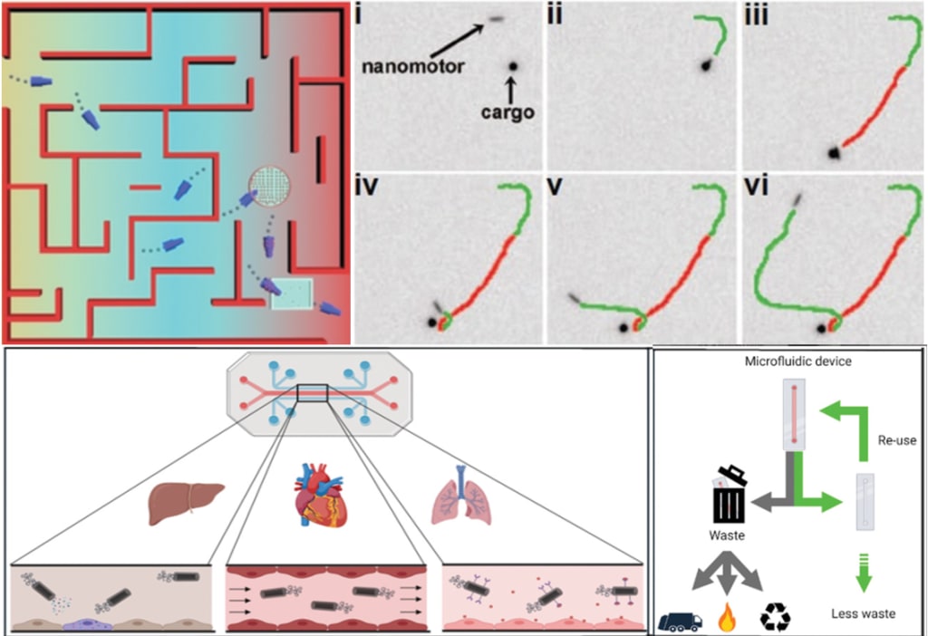 Novel microswimmers and their applications - SimpleMicrofluidics