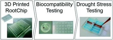 3D printed plant root imaging platform - SimpleMicrofluidics