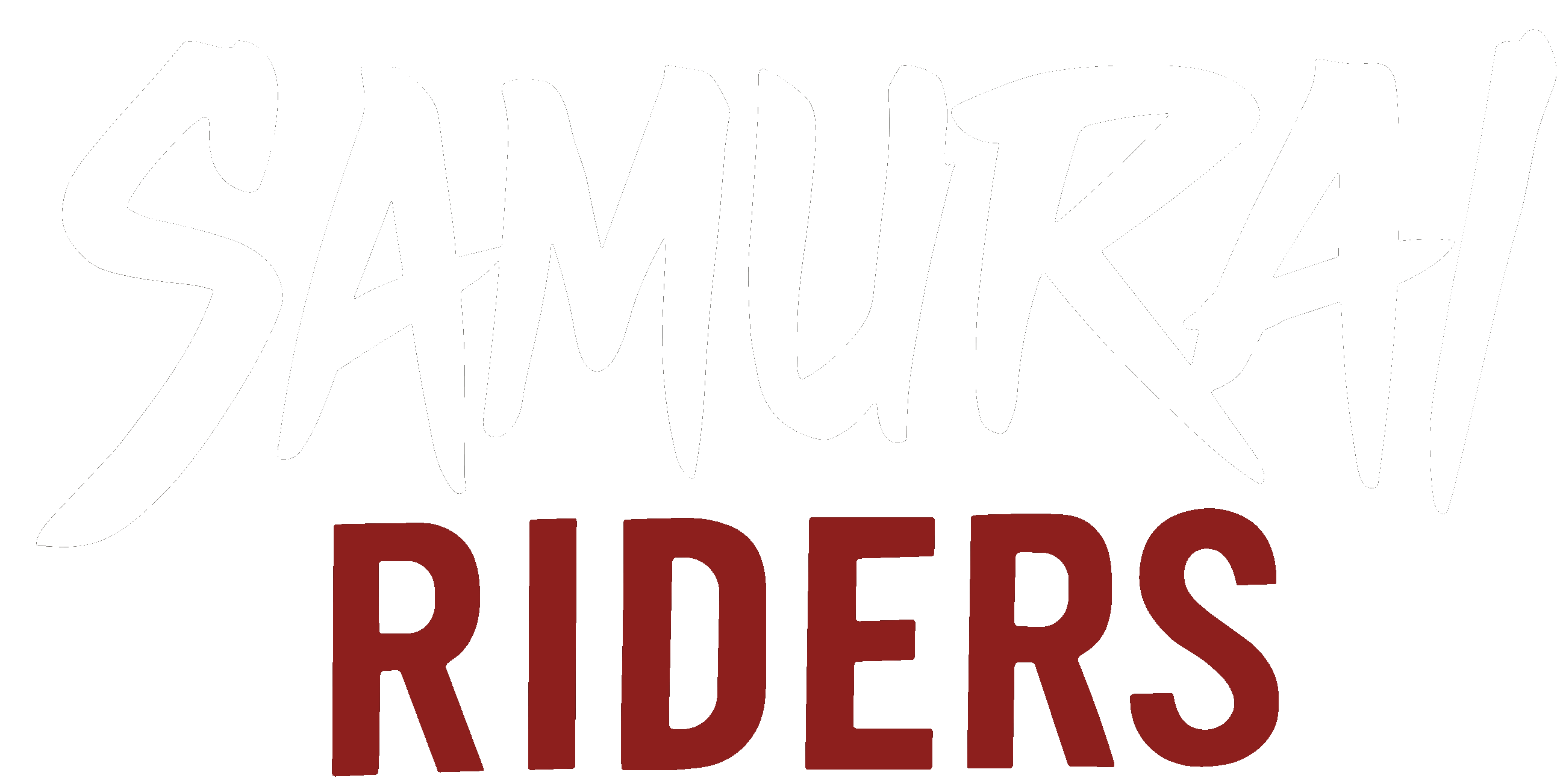 Samurai Riders - Liés par le bitume, guidés par l'honneur.