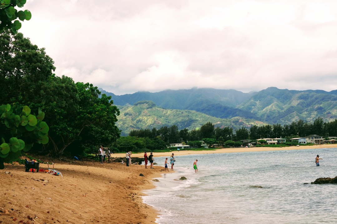 Bellows Field Beach Park, Oahu Beach Guide | HawaiiYeah