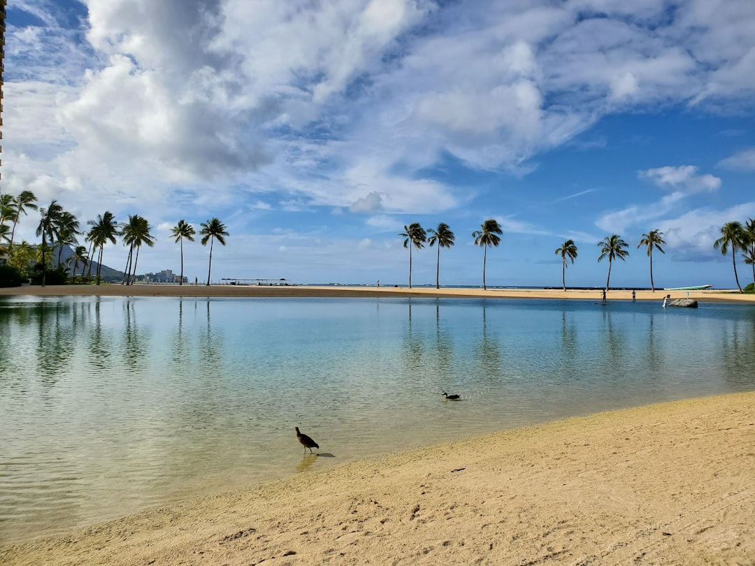 Pokai Beach Park, Oahu Hawaii – The Complete Guide