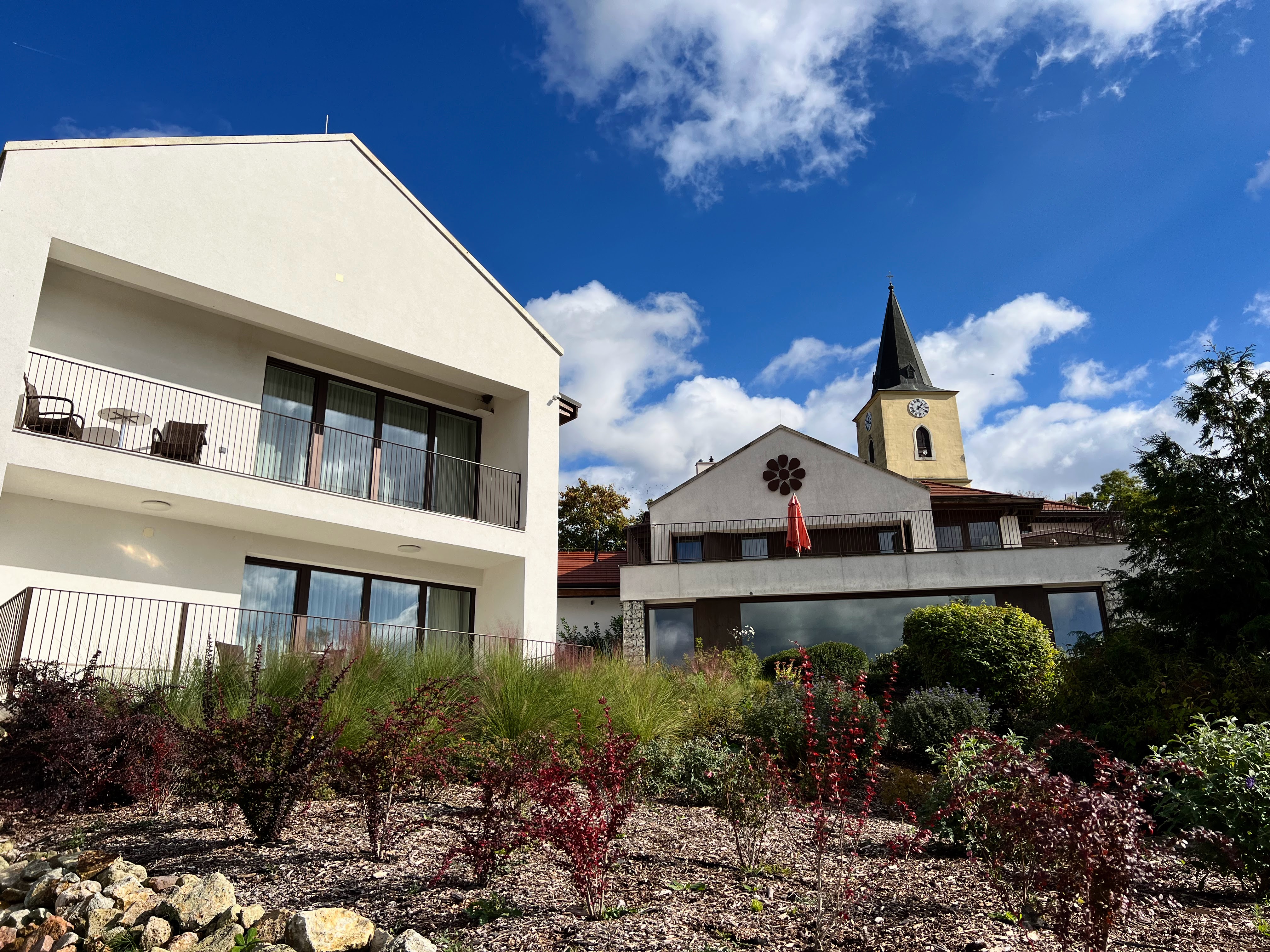 A Guide to Tokaj Wines - Offbeat Budapest & Vienna