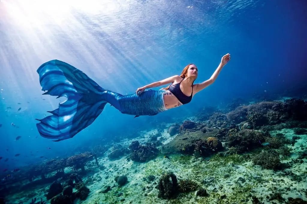 What Fish are Mermaids Based On?