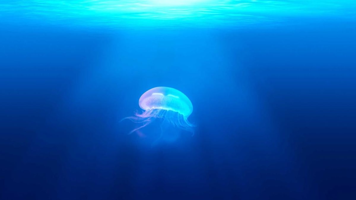 OpenAI's TanStack Scare: A Supply Chain Wake-Up Call for Dev Teams ...
