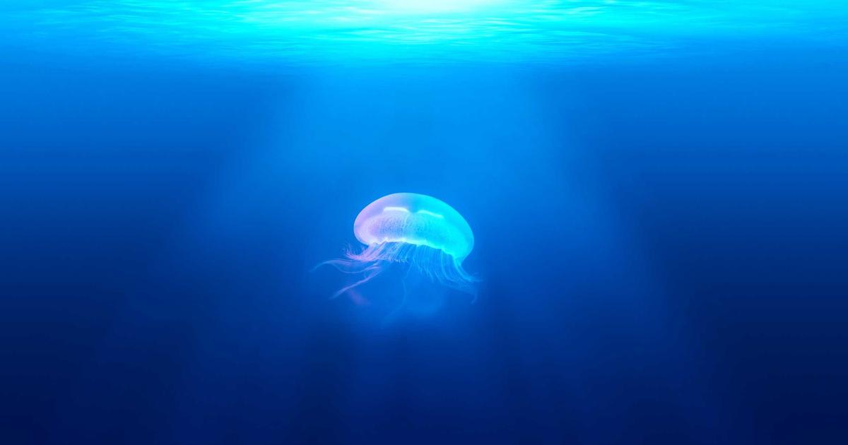 OpenAI's TanStack Scare: A Supply Chain Wake-Up Call for Dev Teams ...