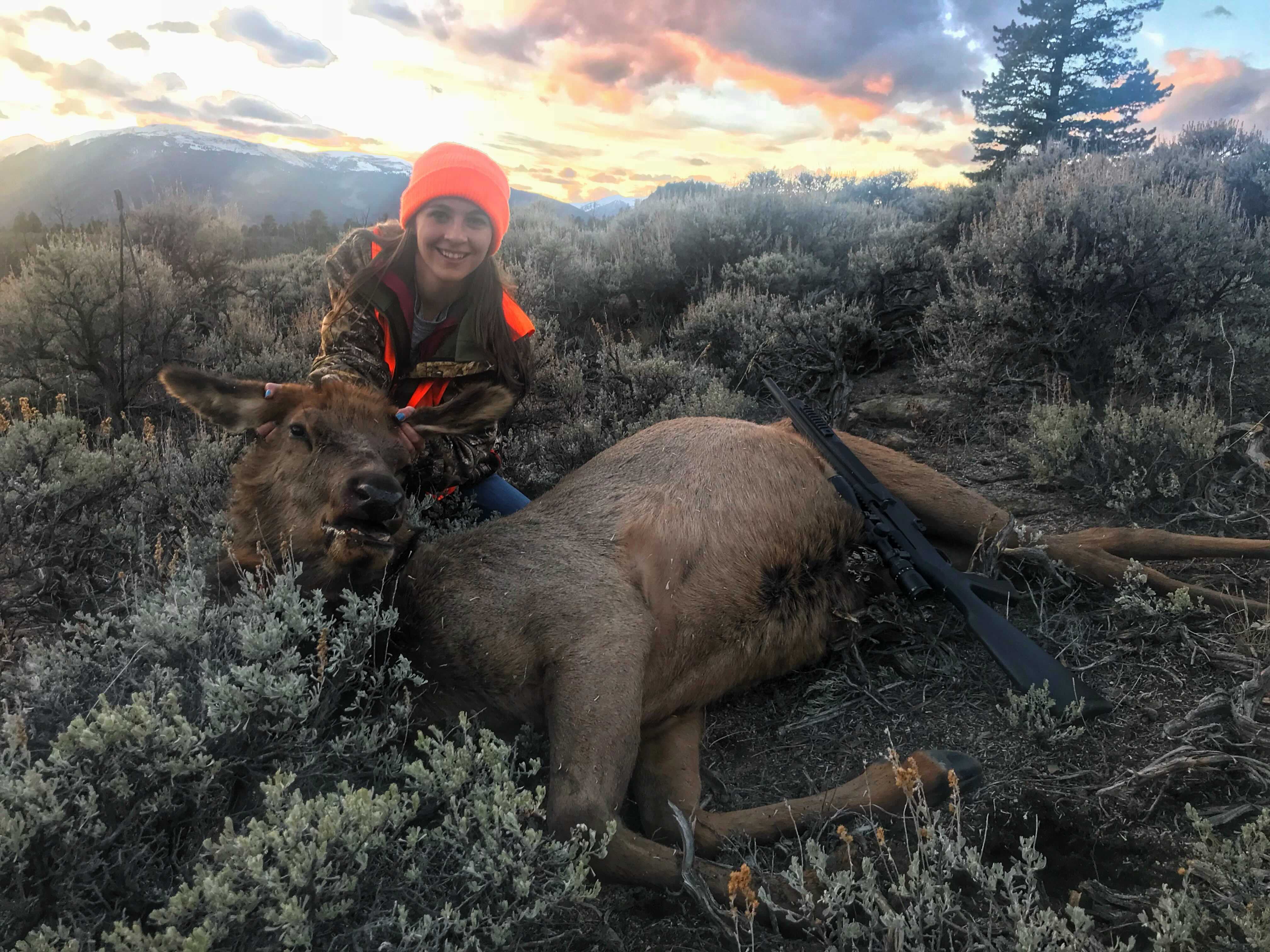 Hunt Elk in Colorado on private land | Infinite Outdoors