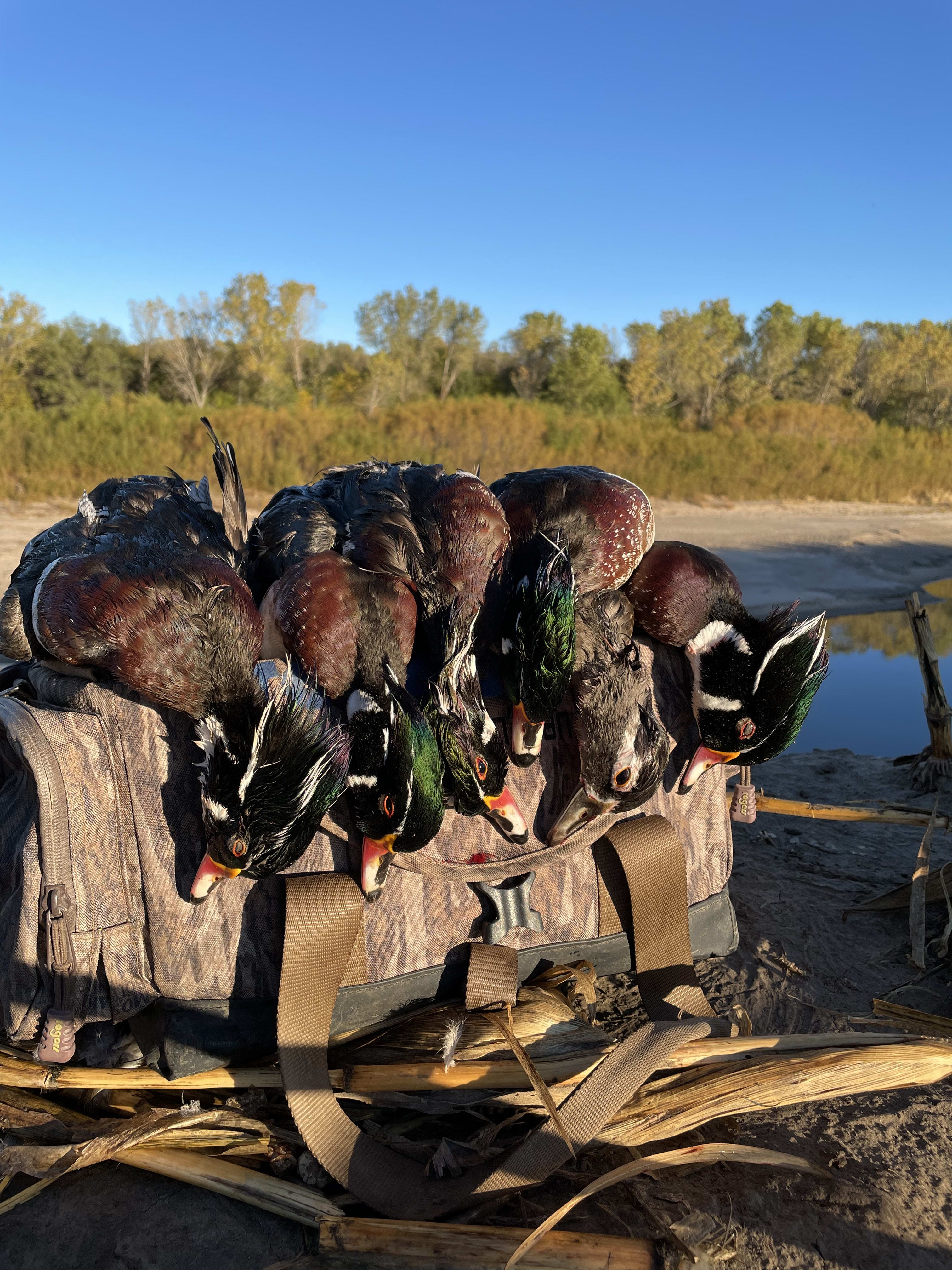 Hunt Waterfowl in Kansas on private land | Infinite Outdoors