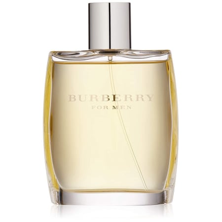 Burberry Cologne Men's Fragrance 3614226905758 | WatchMaxx