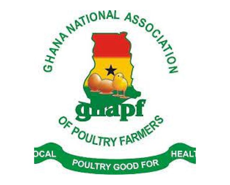 Agro Innova - Digitalizing Agriculture in Africa