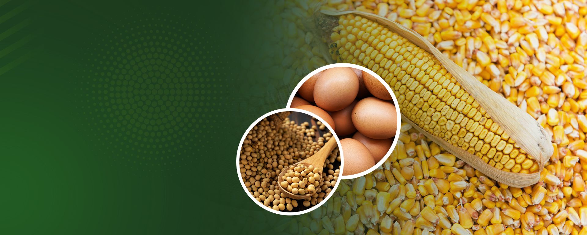 Agro Innova - Digitalizing Agriculture in Africa