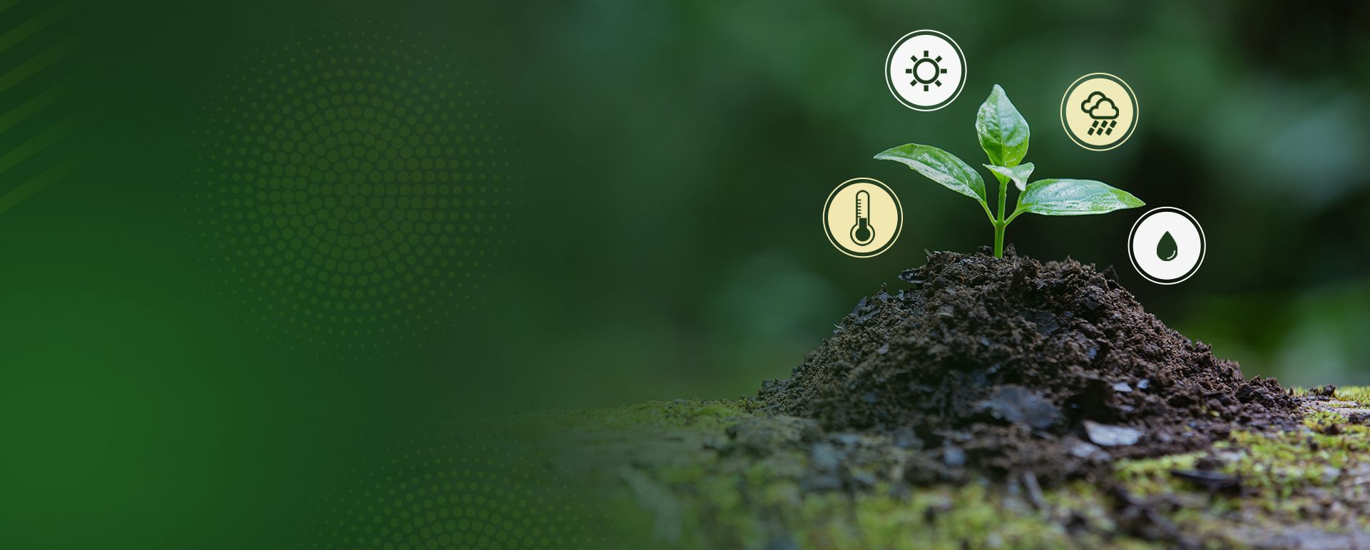 Agro Innova - Digitalizing Agriculture in Africa