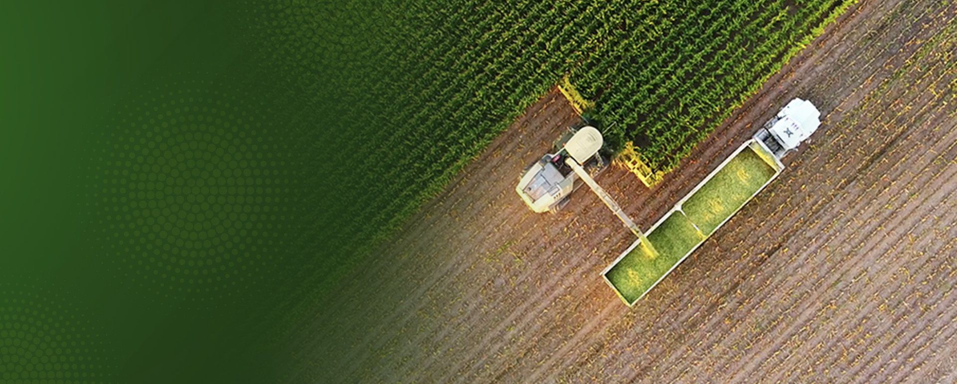 Agro Innova - Digitalizing Agriculture in Africa