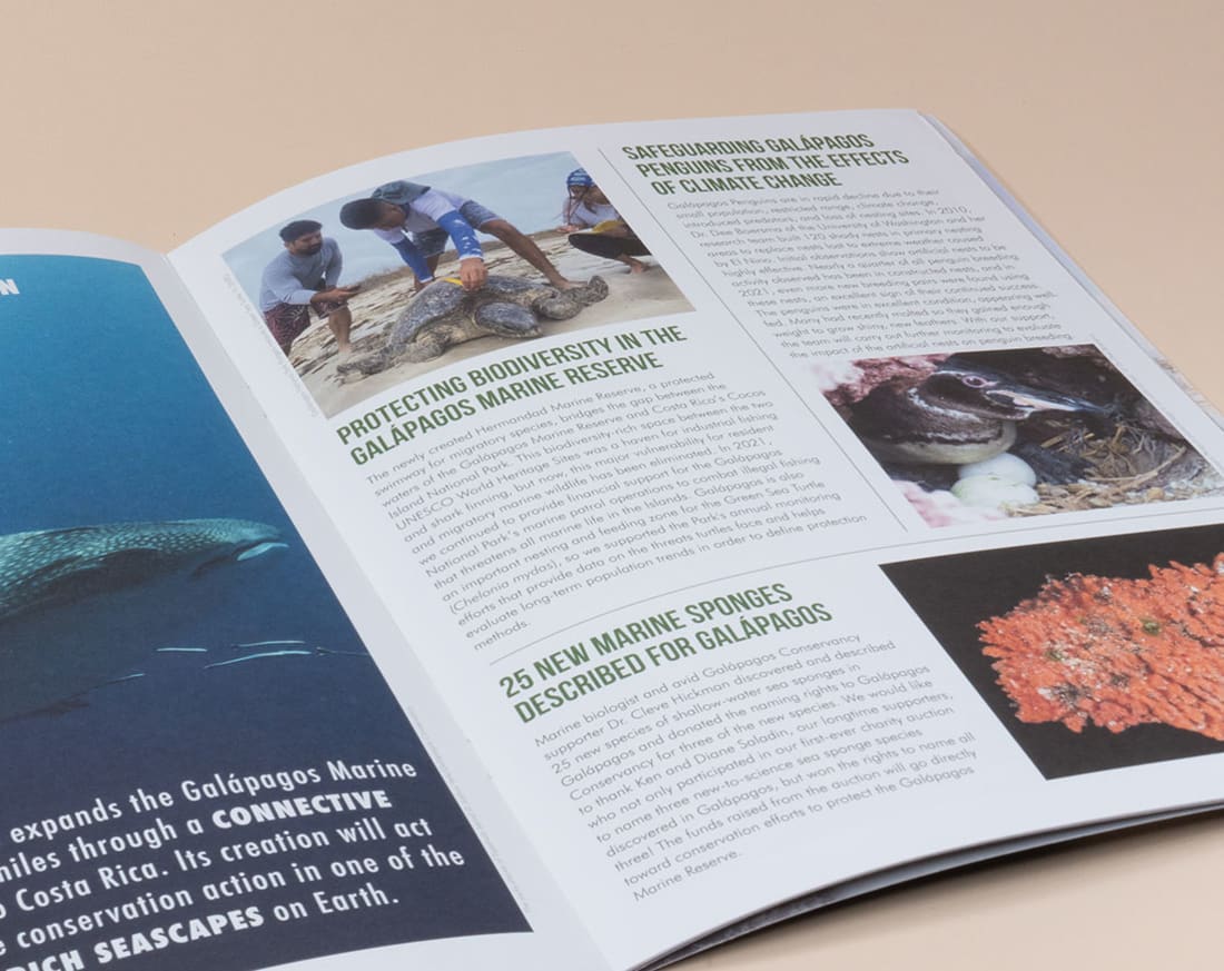 Custom Newsletter Printing