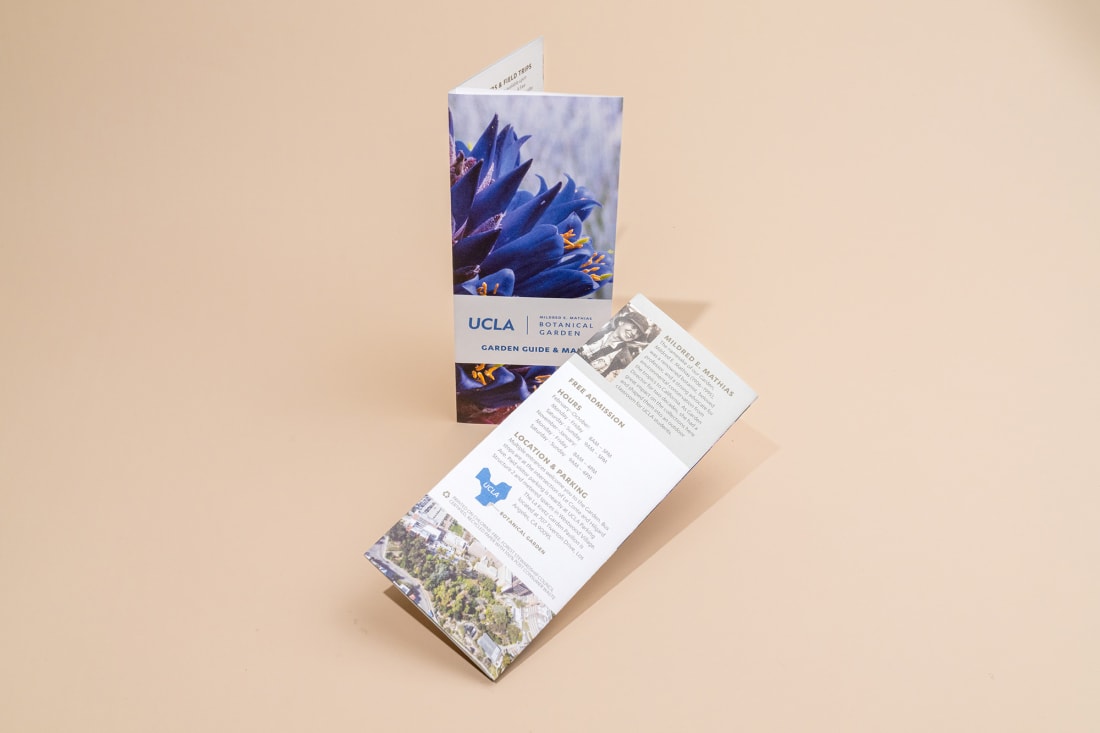 Custom School Brochure Printing - Greenerprinter