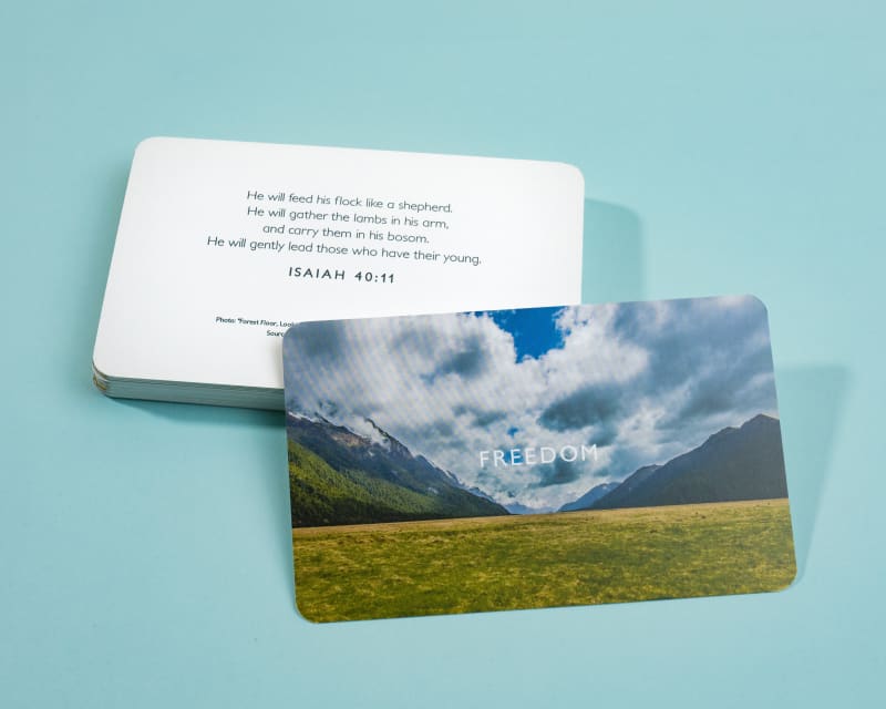 Flashcard Printing | Custom Flash Cards Online