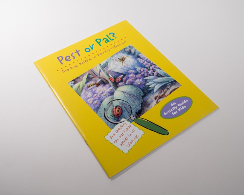 Children’s Book Printing | Custom Short-Run Storybooks
