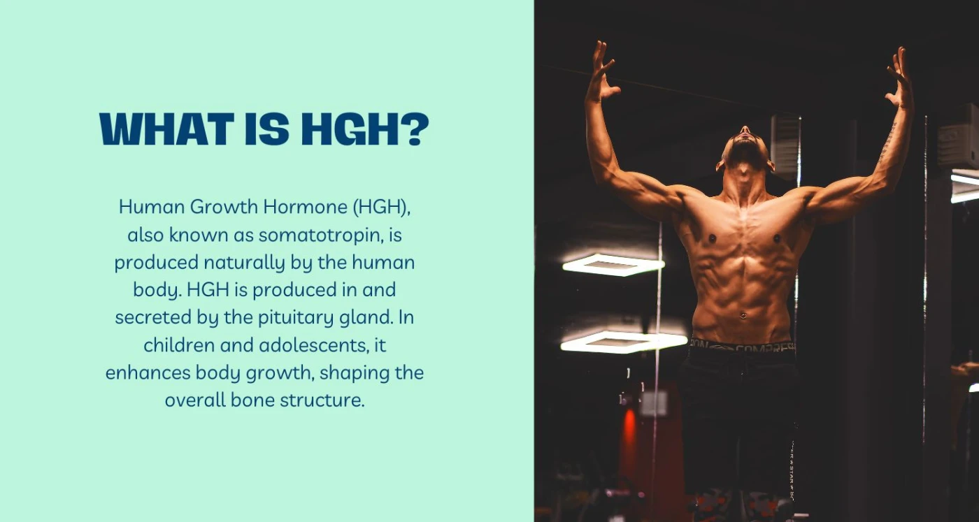 HGH vs. Steroids: Understanding the Differences - UK Steroids Store