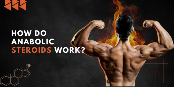 Types of steroids for bodybuilding - UK Steroids Store