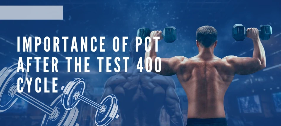 Test 400 for Sale | Buy Test 400