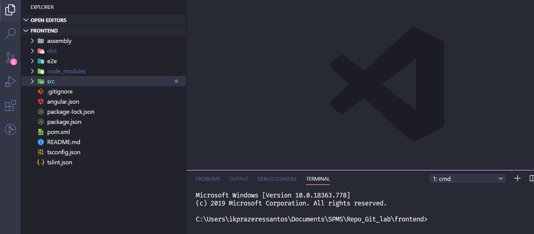 GitHub - iltonkp/Configurando-VSCode-para-Angular: Padronização de ...