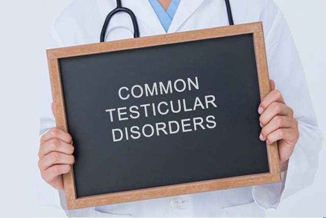 Disorders of The Male Reproductive System: Testicular Disorders