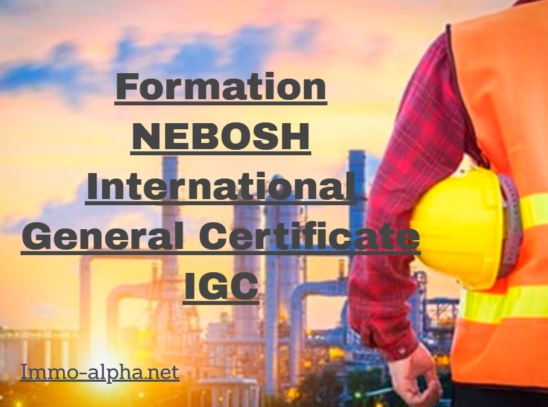 Formation NEBOSH International General Certificate IGC