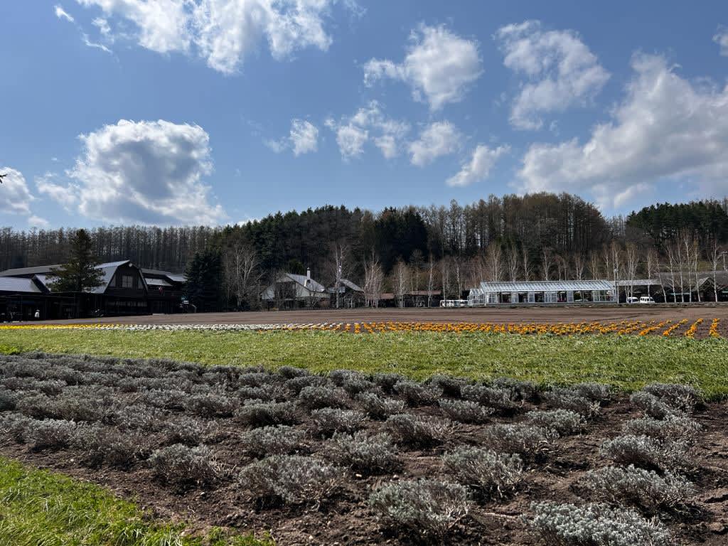 5-Day Hokkaido Itinerary: Memorable Journey in Japan's North