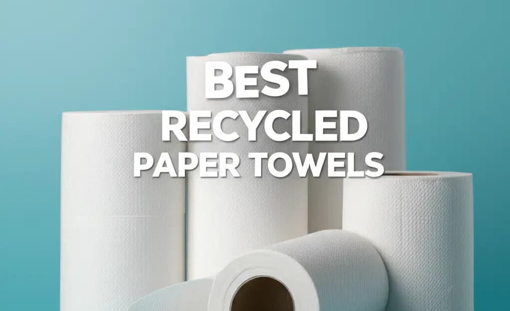 Best Recycled Paper Towels — Home Essentials Guide (HEG)