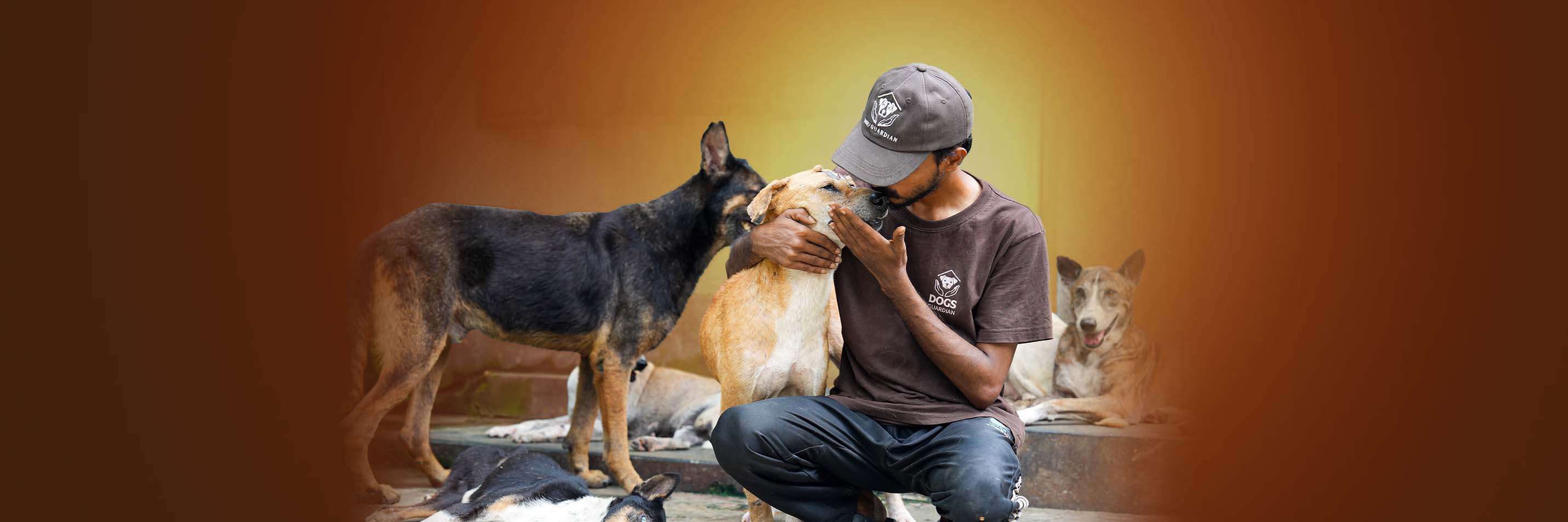 Dog Rescue – Save & Adopt Rescued Dogs | Dogs Guardian