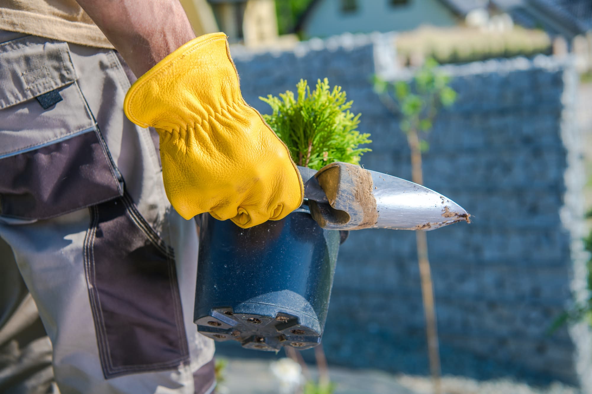 How To Hire A Gardener In Calgary?