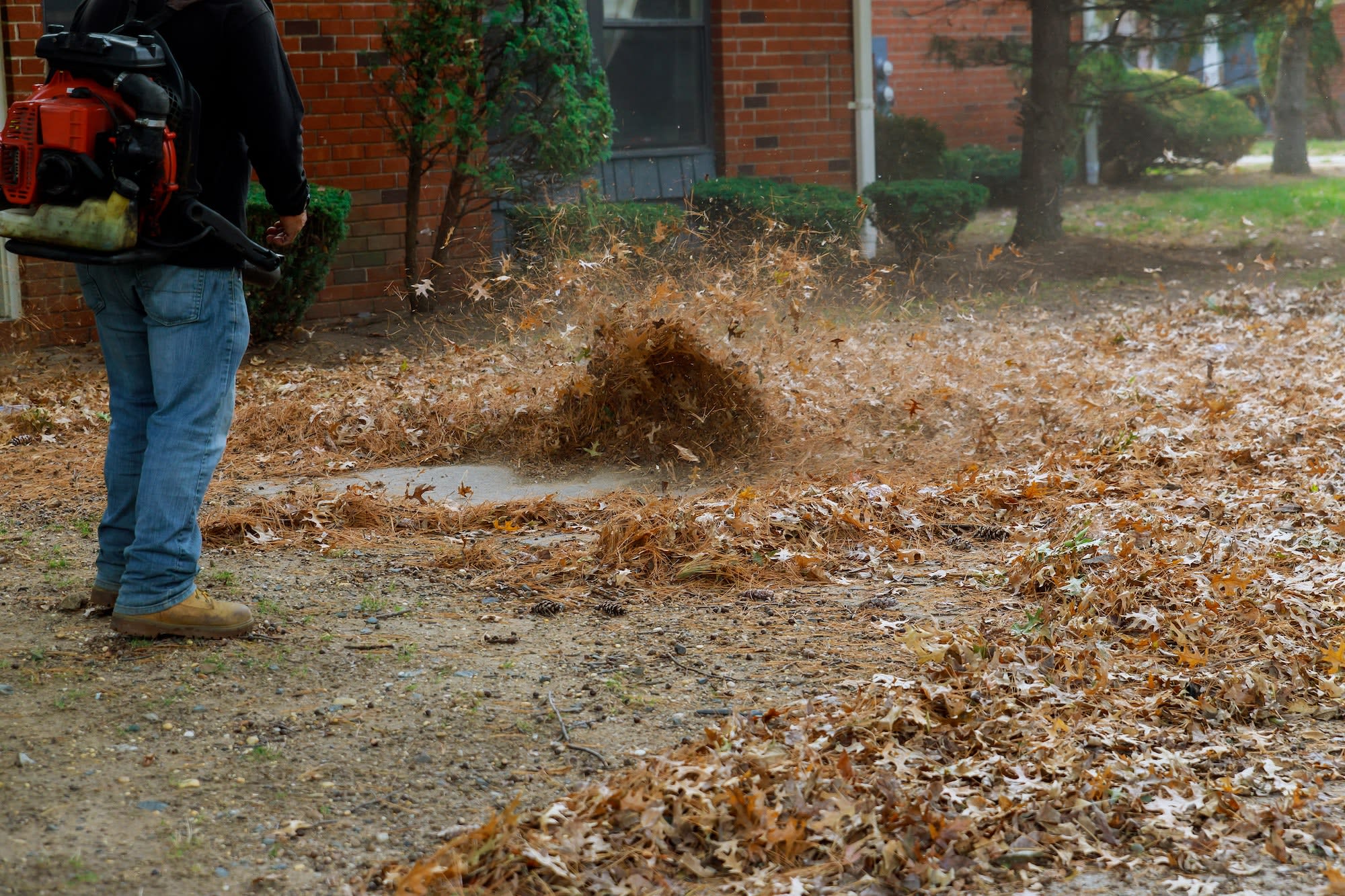Yard Clean Up in Calgary