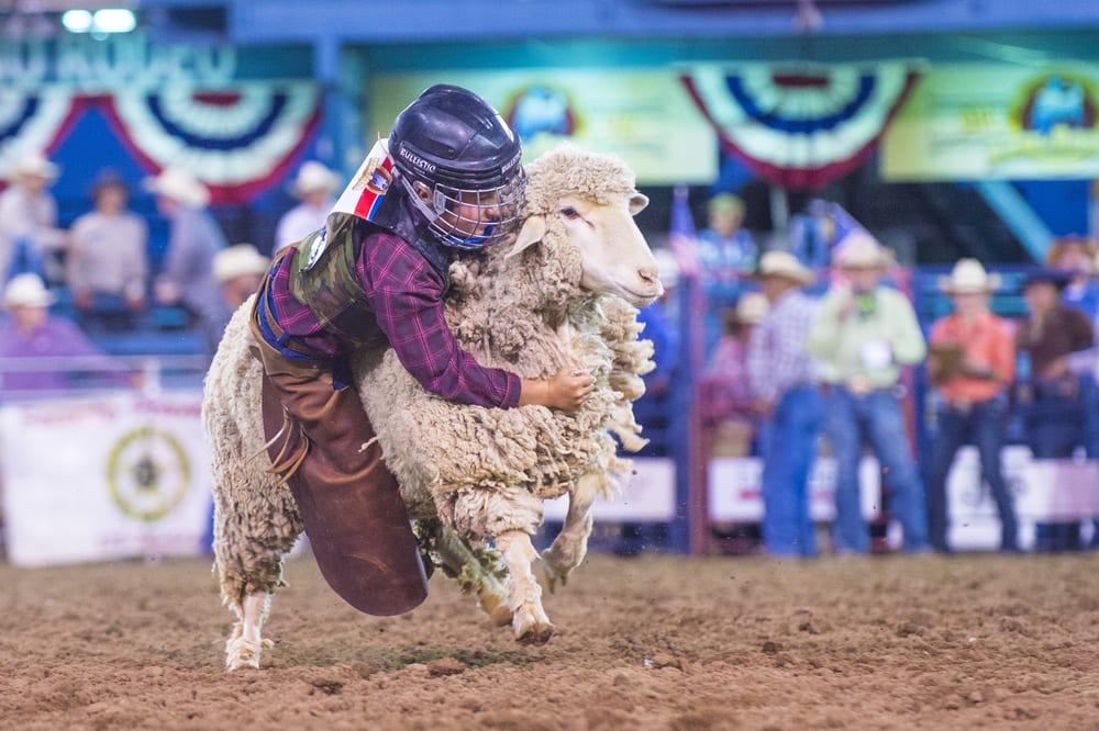 Galveston County Fair and Rodeo 2024 - Stay Galveston