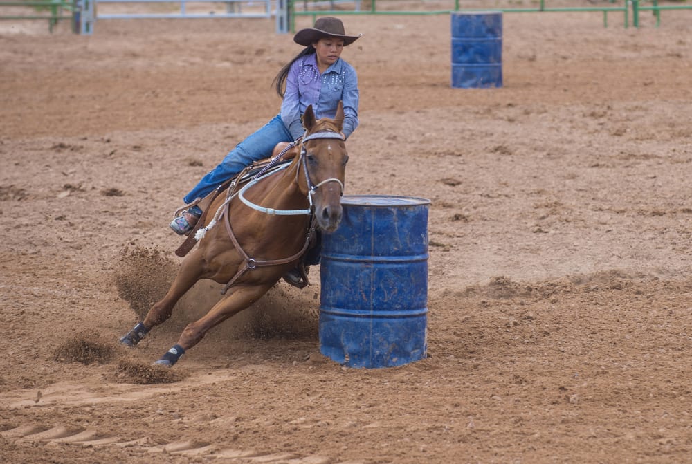 Galveston County Fair and Rodeo 2024 - Stay Galveston
