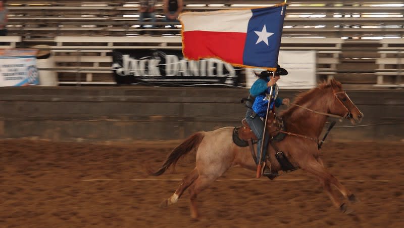 Galveston County Fair and Rodeo 2024 - Stay Galveston