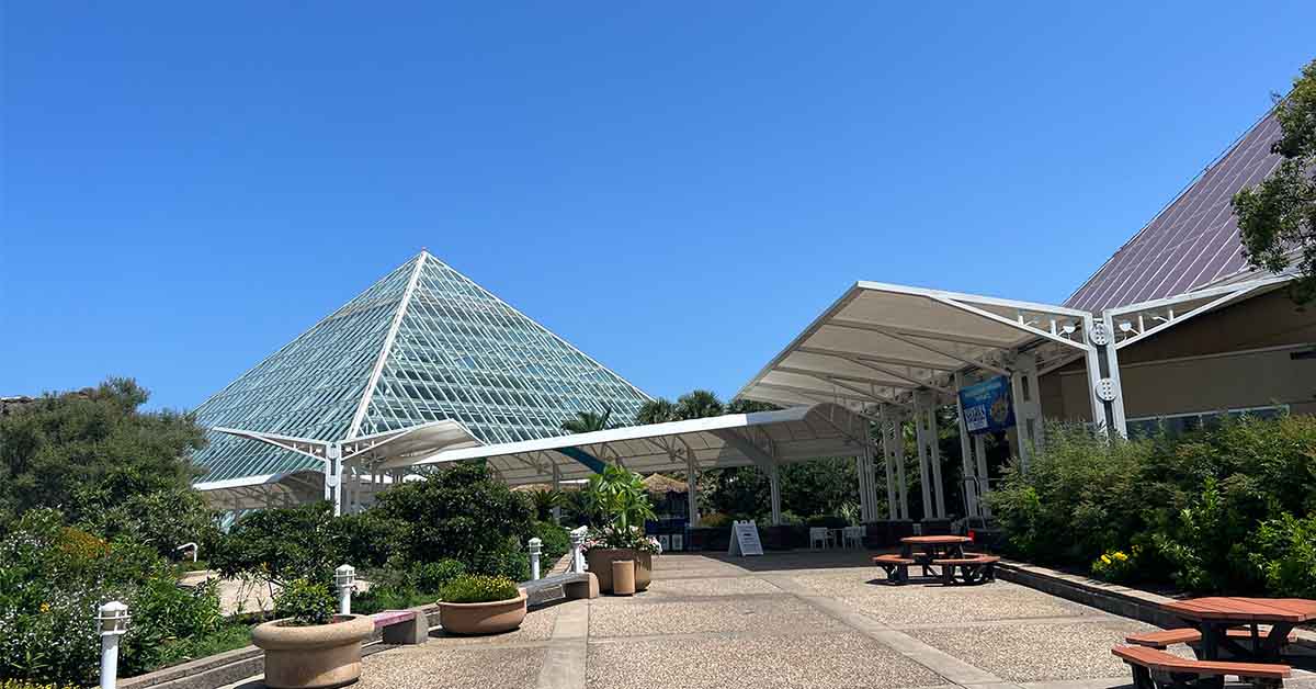 Discovery Pyramid - Sharks In Depth is Now Open at Moody Gardens