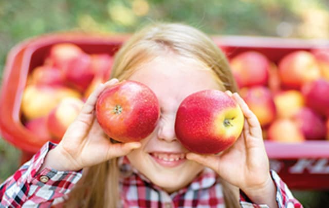 About us | Bitterroot Health