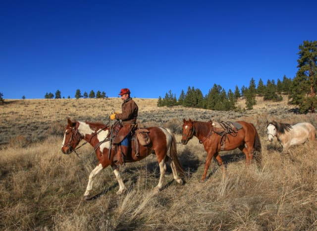 Leadership | Bitterroot Health