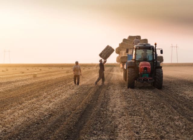 Pain management | Bitterroot Health