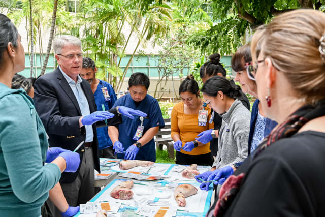 Maui Memorial Medical Center Offers Advanced Wound Healing Training for ...