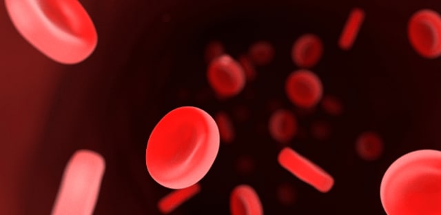 Southeast Georgia Health System to Host October Blood Drives ...