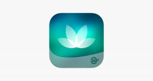 Patient portal | Bitterroot Health