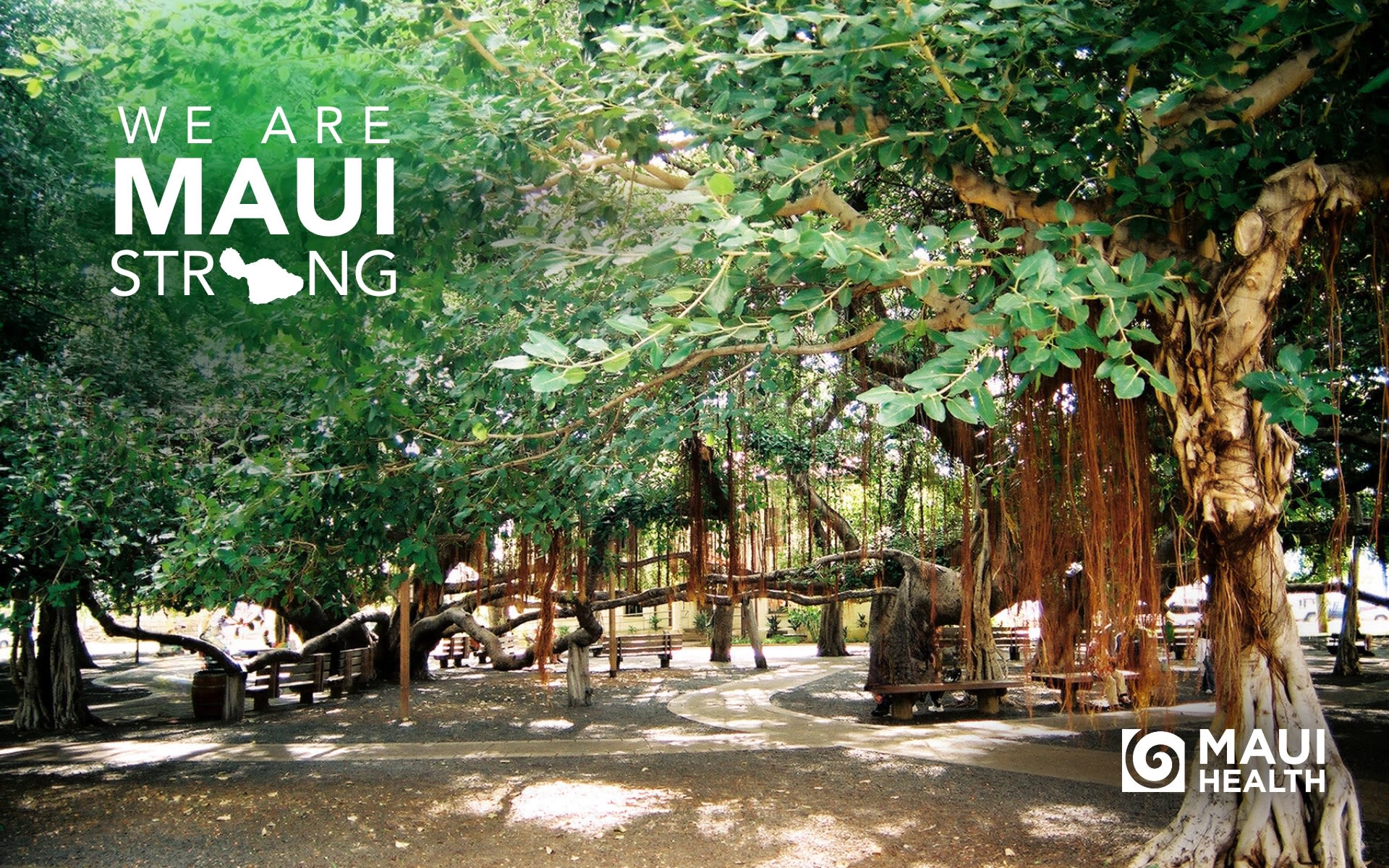 Maui Wildfire Emergency Resources | Maui Health