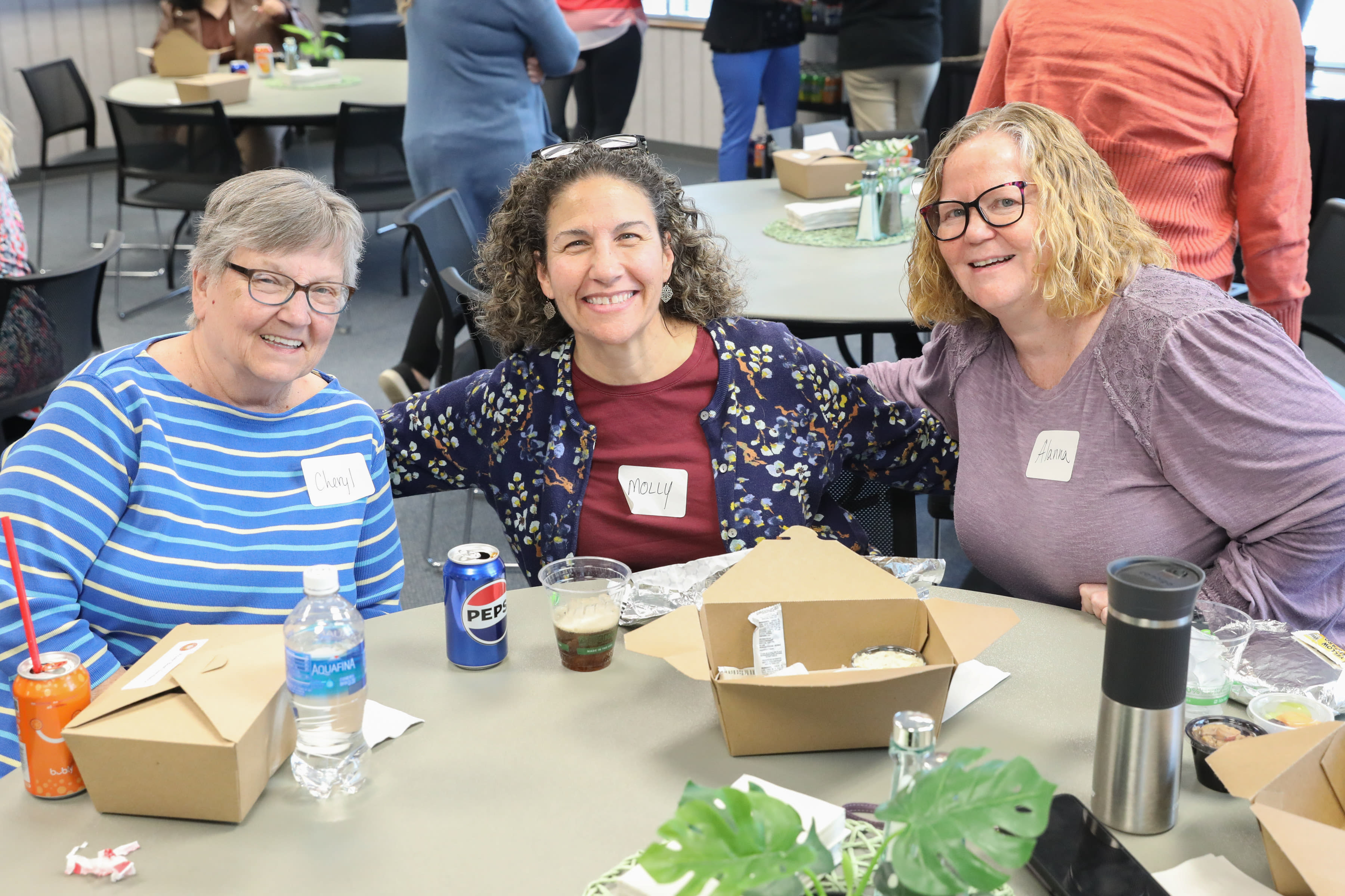 Northwest Illinois Administrative Perinatal Center | Mercyhealth