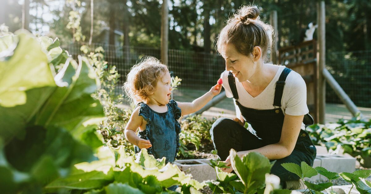 Your lungs have their own microbiome | Mercyhealth