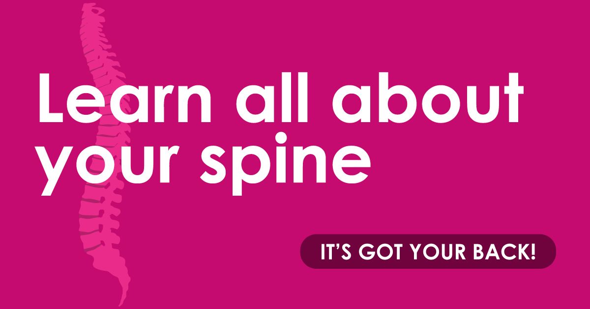 Anatomy of the back | Grande Ronde Hospital