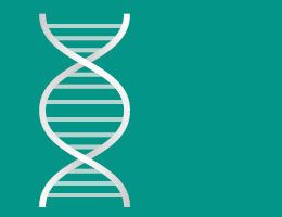 Genetics | Mercyhealth