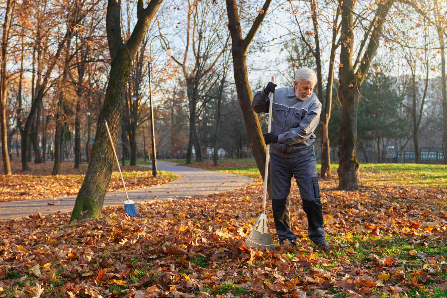 Fall Yard Cleanup Checklist: 15 Must-Do Tasks Before Winter