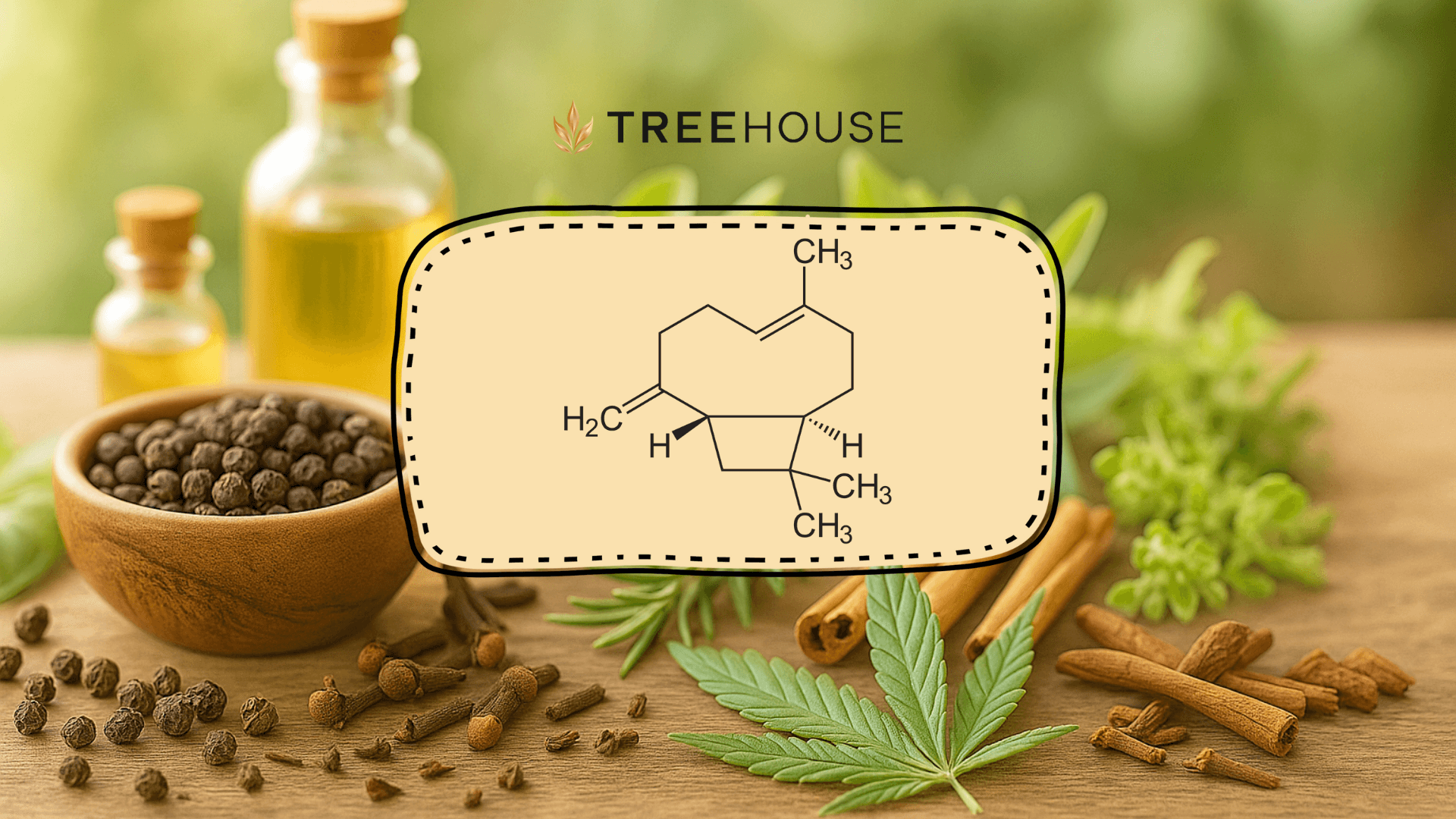 Beta-Caryophyllene: Exploring the Peppery, Herbaceous Terpene Found ...