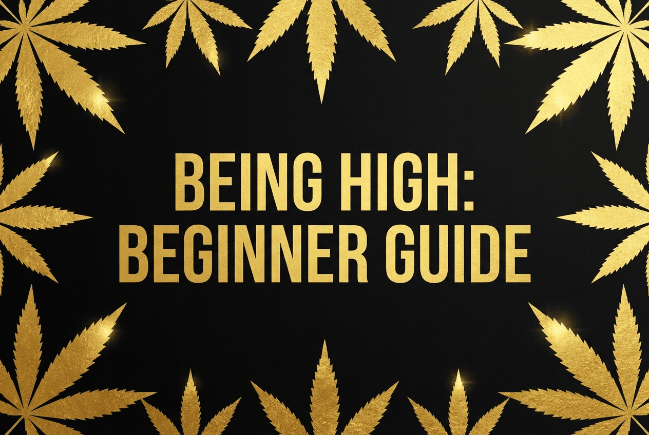What Does Being High Feel Like? A Beginner's Guide | Treehouse Cannabis ...